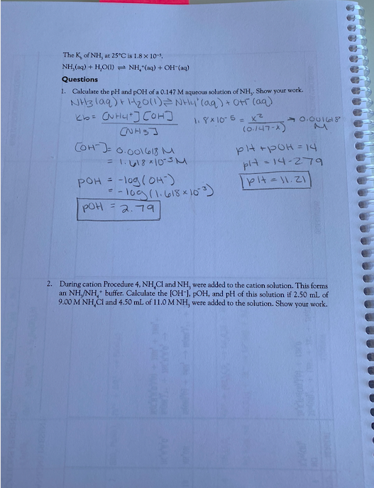 Solved During cation Procedure 4, NH4Cl and NH3 were added | Chegg.com