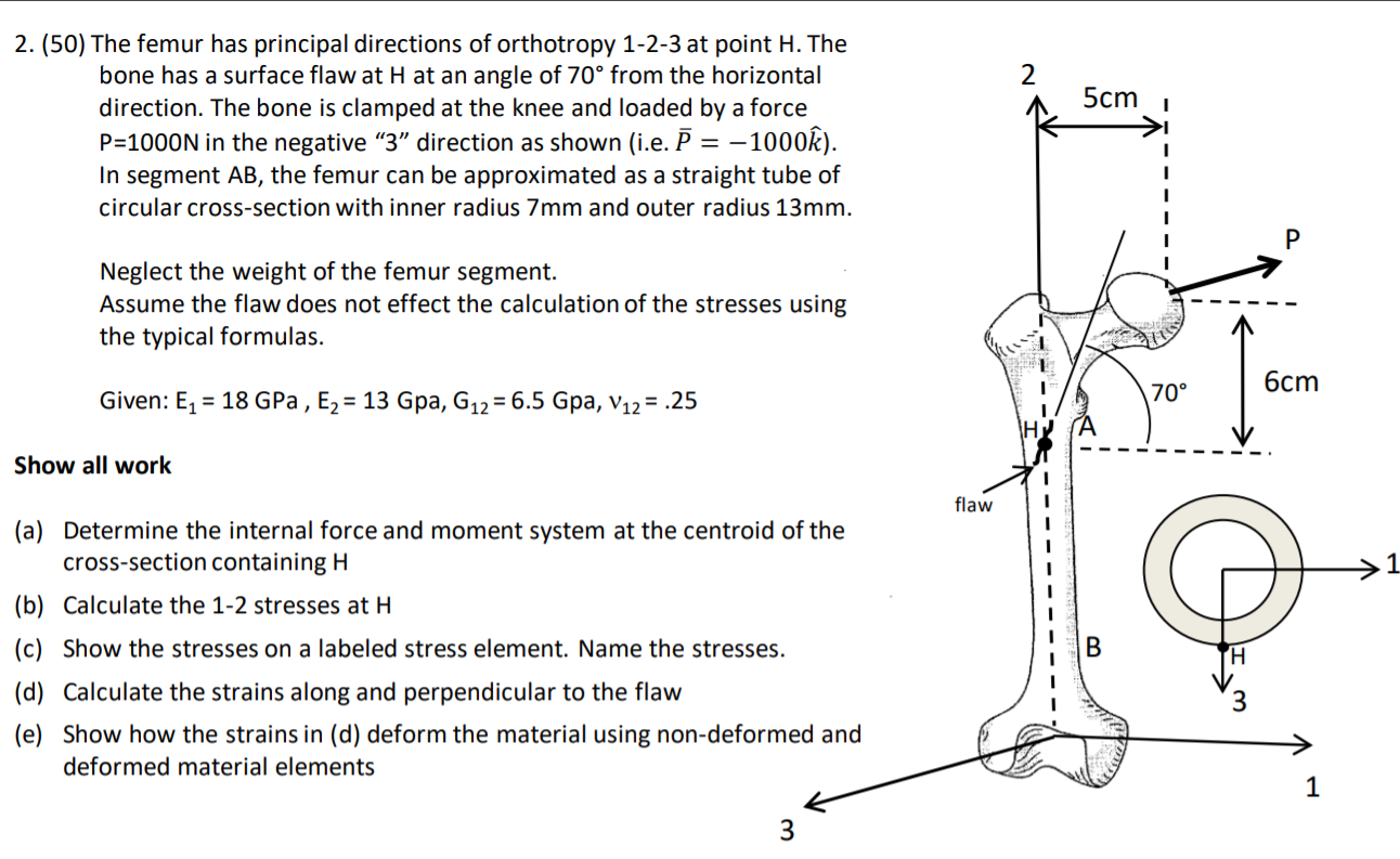 (50) The femur has principal directions of orthotropy | Chegg.com