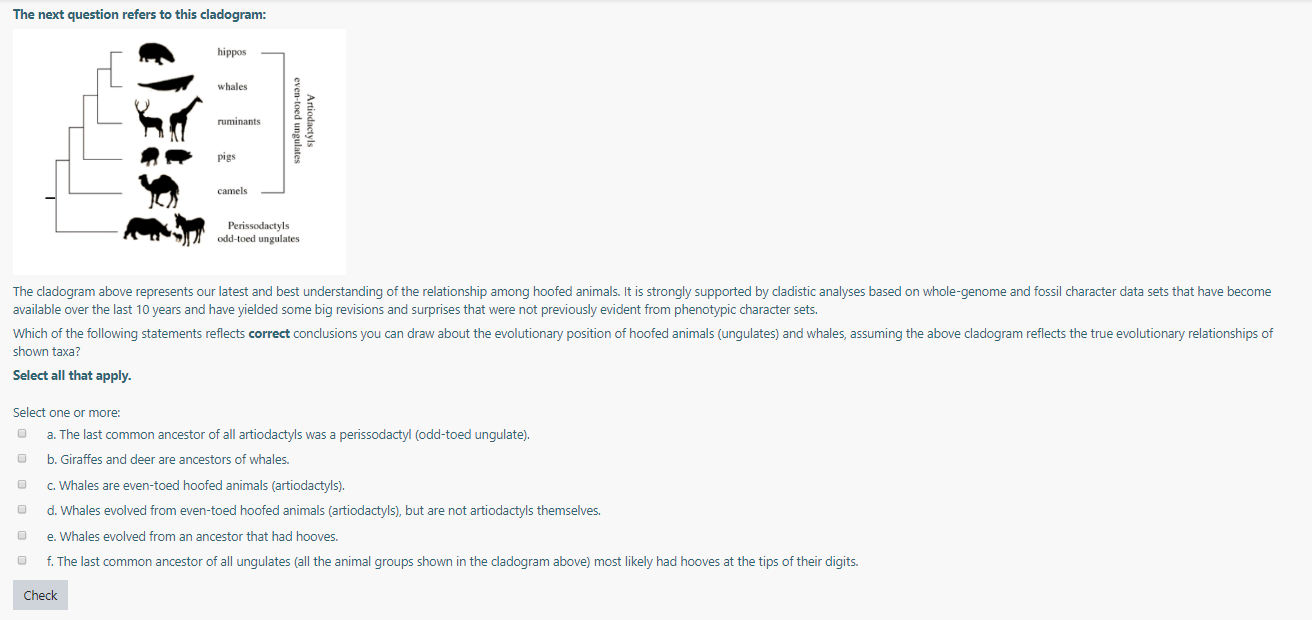 Solved The next question refers to this cladogram: hippos | Chegg.com