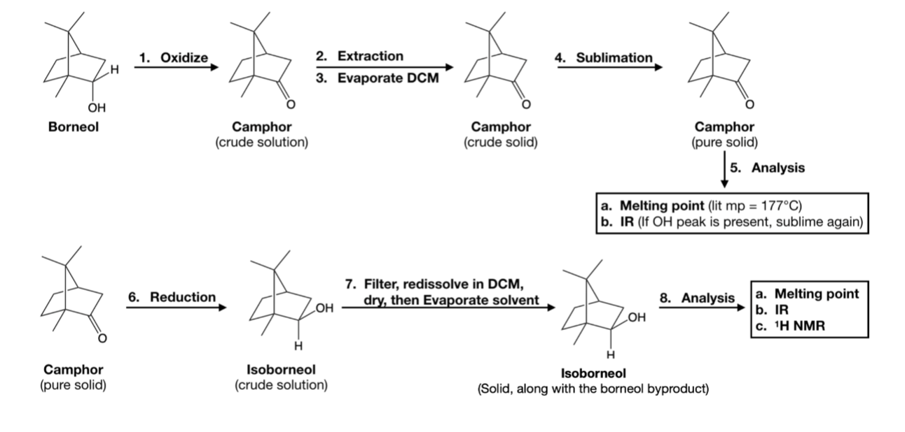 Solved can you list 3 error that normal happen in The | Chegg.com