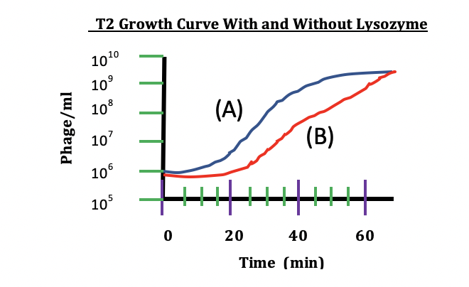 The graph above is reminiscent of a one-step-growth | Chegg.com