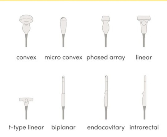 Solved compare between types of ultrasound transducer and | Chegg.com