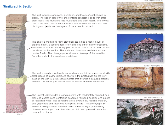 Solved B Interpret the Sedimentary History of the Sequence | Chegg.com