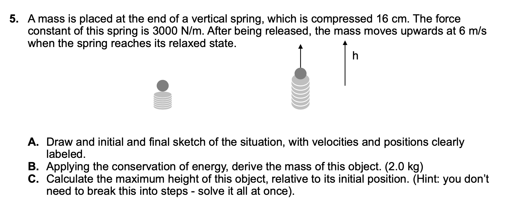 Solved 5. A mass is placed at the end of a vertical spring, | Chegg.com