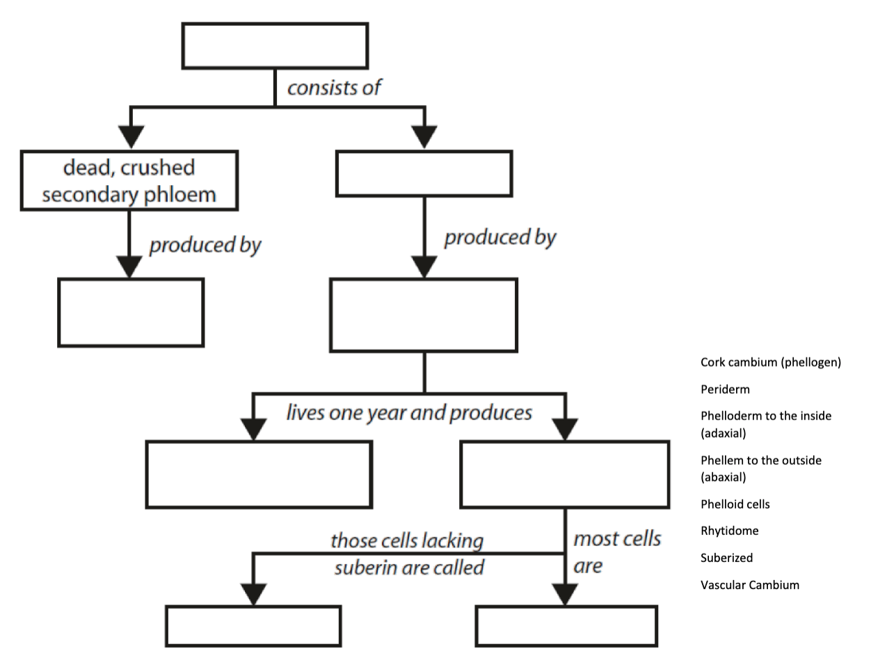 Solved fill in the blank | Chegg.com
