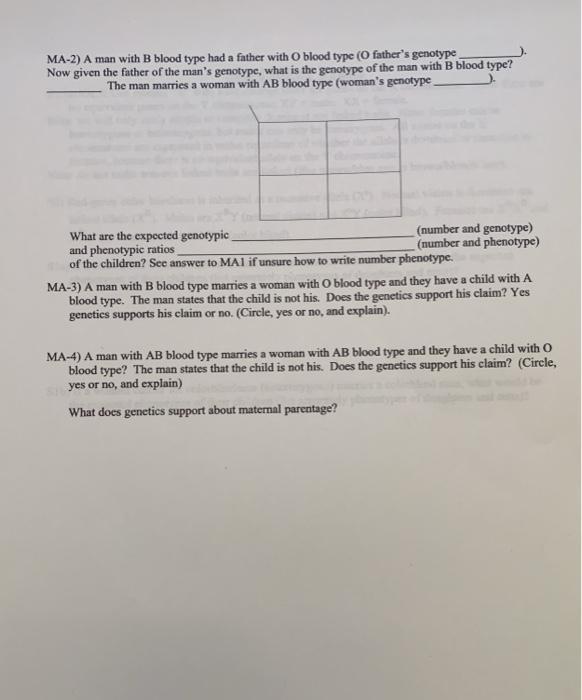 Solved . Genetics Part Two Multiple Alleles and Codominance | Chegg.com