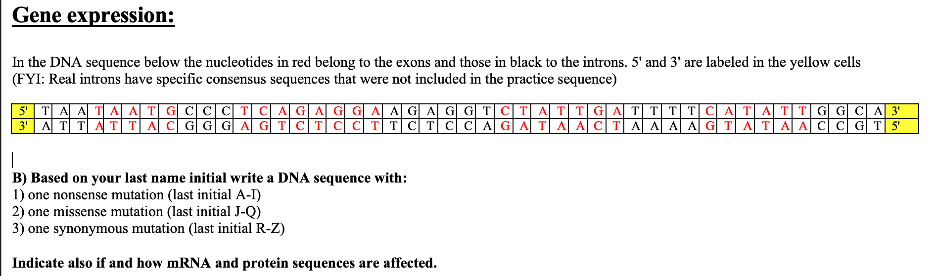 Solved Gene expression: In the DNA sequence below the | Chegg.com