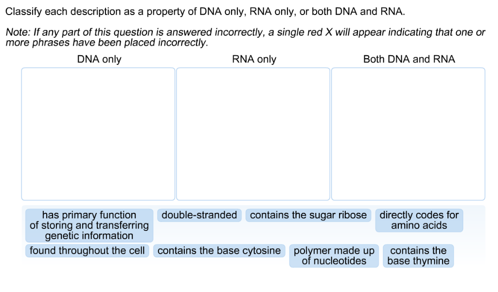 Solved Classify each description as a property of DNA only, | Chegg.com