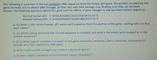 Solved The following is a portion of the non template DNA | Chegg.com