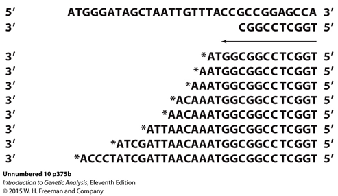 What is the end result of DNA cloning?The following | Chegg.com