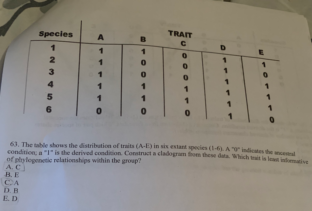 Solved TRAIT species A 0 0 0 2 0 0 5 0 0 63. The table shows | Chegg.com