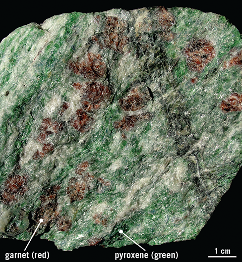 Solved Activity 7.3 Metamorphic Rock Analysis and | Chegg.com