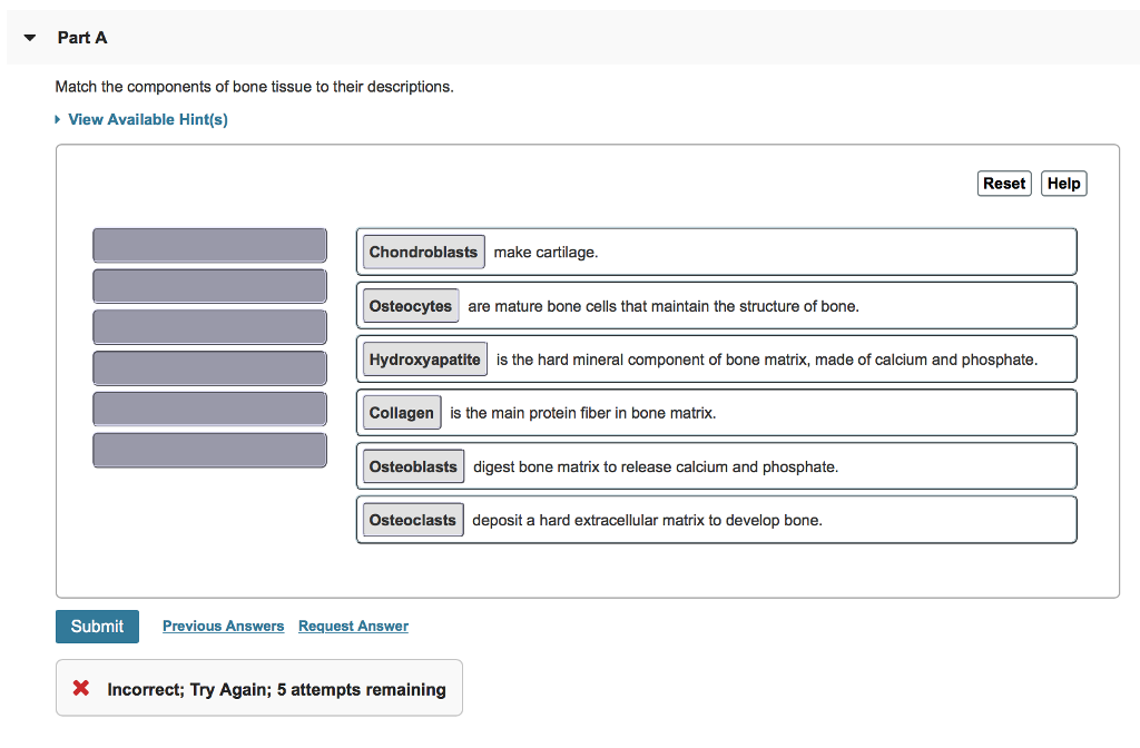Solved Part A Match the components of bone tissue to their | Chegg.com