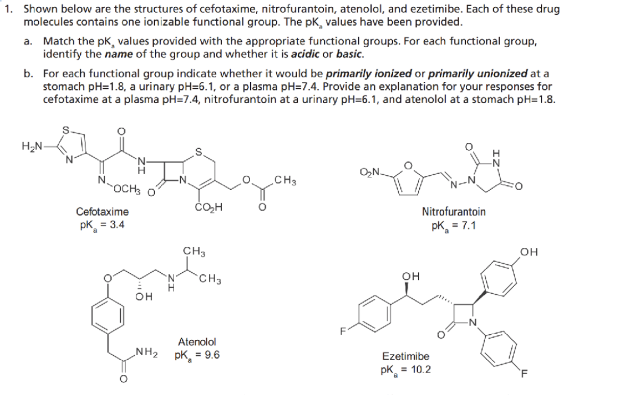 Solved Shown below are the structures of cefotaxime, | Chegg.com
