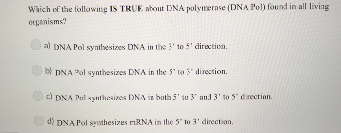 Solved Which of the following IS TRUE about DNA polymerase | Chegg.com