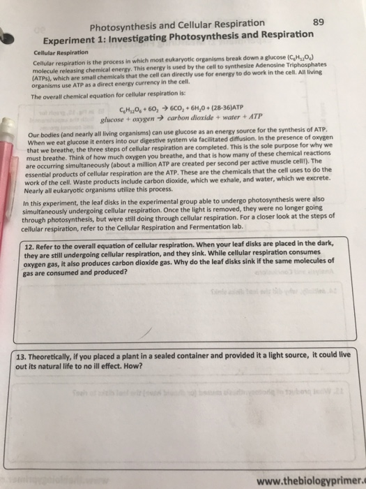 Solved: Photosynthesis And Cellular Respiration 89 Experim... | Chegg.com