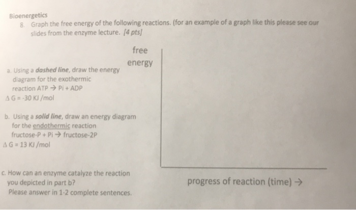 Solved Bioenergetics 8. Graph the free energy of the | Chegg.com