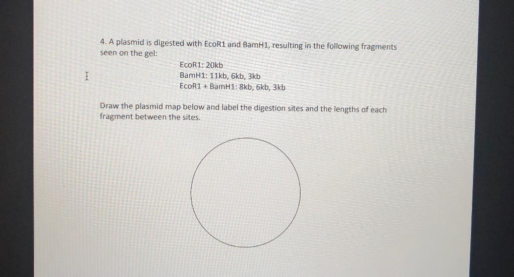 Solved 4. A plasmid is digested with EcoR1 and BamH1, | Chegg.com
