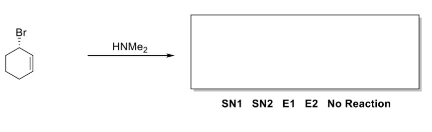 Solved HNMe2 SN1 SN2 E1 E2 No Reaction | Chegg.com