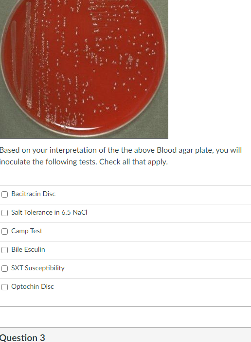 Solved Based on your interpretation of the the above Blood | Chegg.com