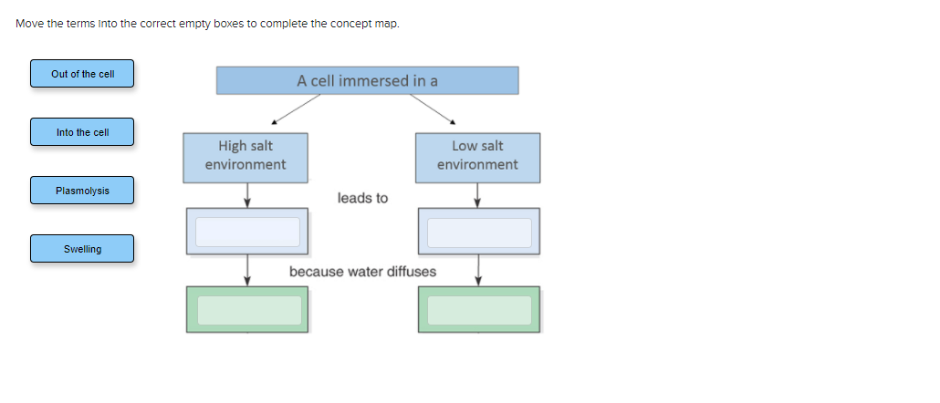 Solved Move the terms into the correct empty boxes to | Chegg.com