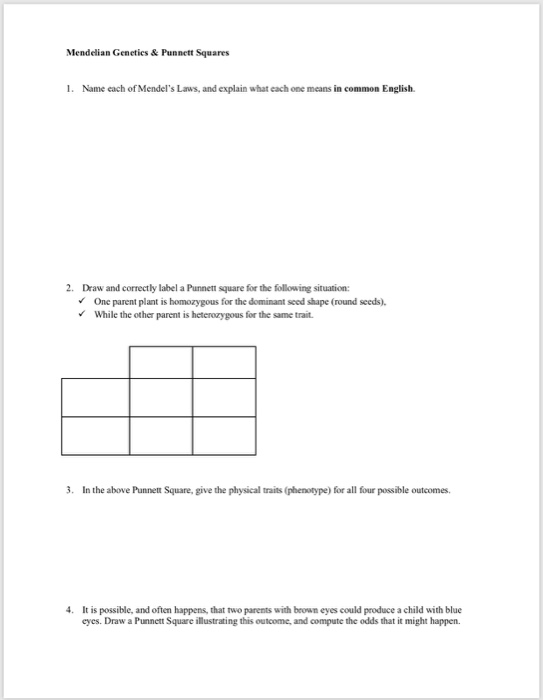Solved Mendelian Genetics & Punnett Squares . Name each of | Chegg.com