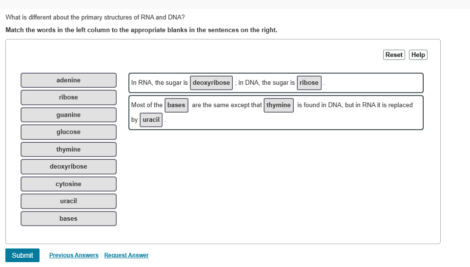 Solved What is different about the primary structures of RNA | Chegg.com