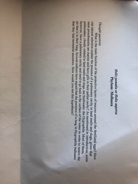 Solved Helix pomatia or Helix aspersa Phylum: Mollusca | Chegg.com