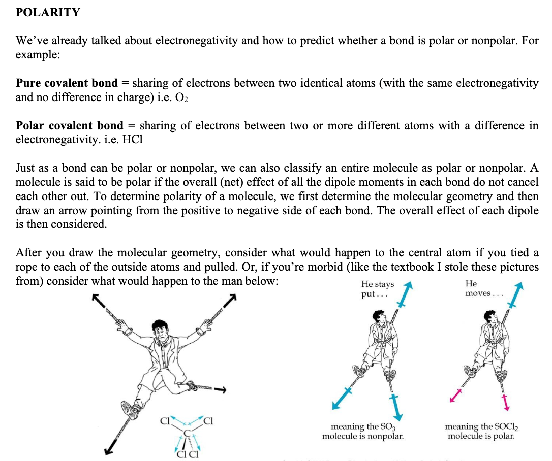 Solved POLARITY We've already talked about electronegativity | Chegg.com