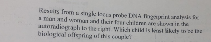 Results from a single locus probe DNA fingerprint | Chegg.com