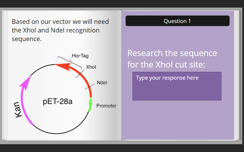 Solved Question 1 Based on our vector we will need the Xhol | Chegg.com