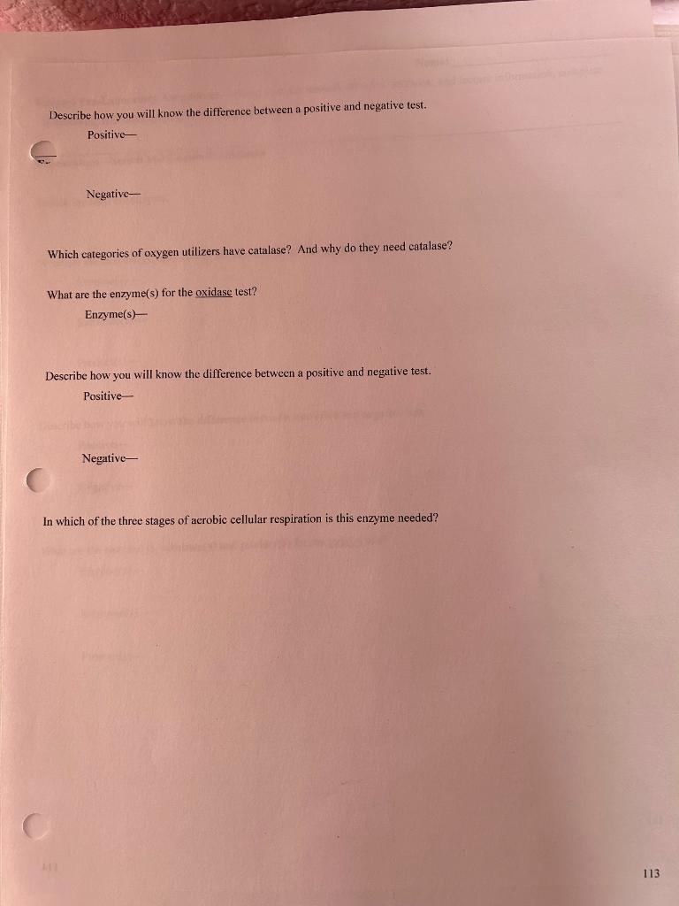 Solved Name Enzyme Pre Laboratory Assignment Using Your Lab