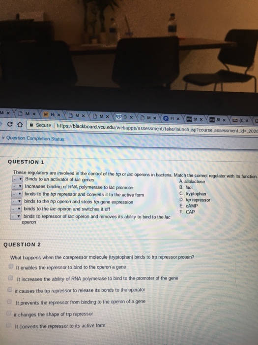 Solved C Secure https/blackboard vcu edu/webapps/assessment | Chegg.com