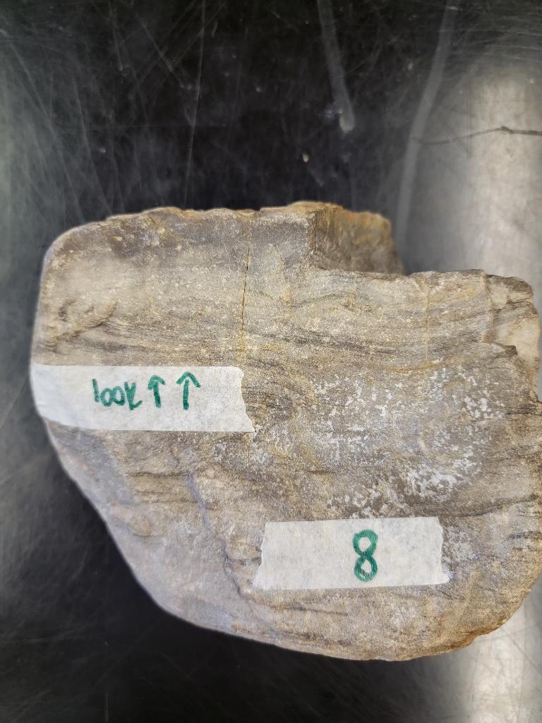 Solved Identify the sedimentary structure Describe how the | Chegg.com
