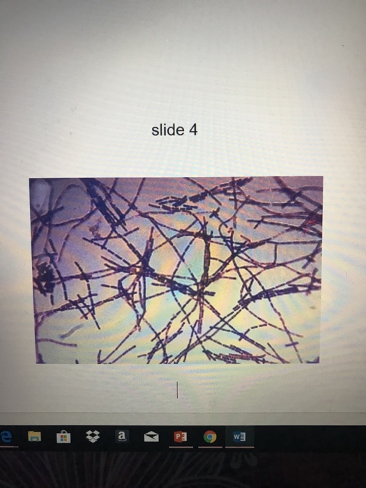 Solved GOWRY Laboratory Exercise 201) (Protected View) Word | Chegg.com