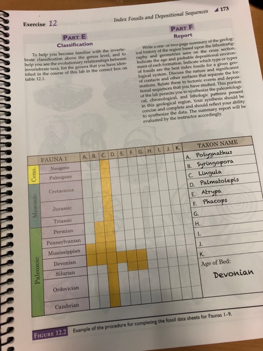 Solved NORTHWEST 1 mle Chuar Group Labrador Formation Percha | Chegg.com