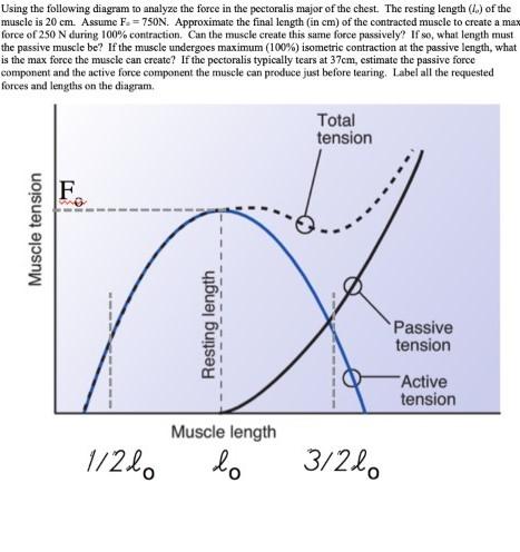 Solved Using the following diagram to analyze the force in | Chegg.com