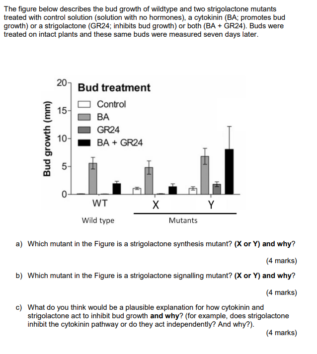 The figure below describes the bud growth of wildtype | Chegg.com