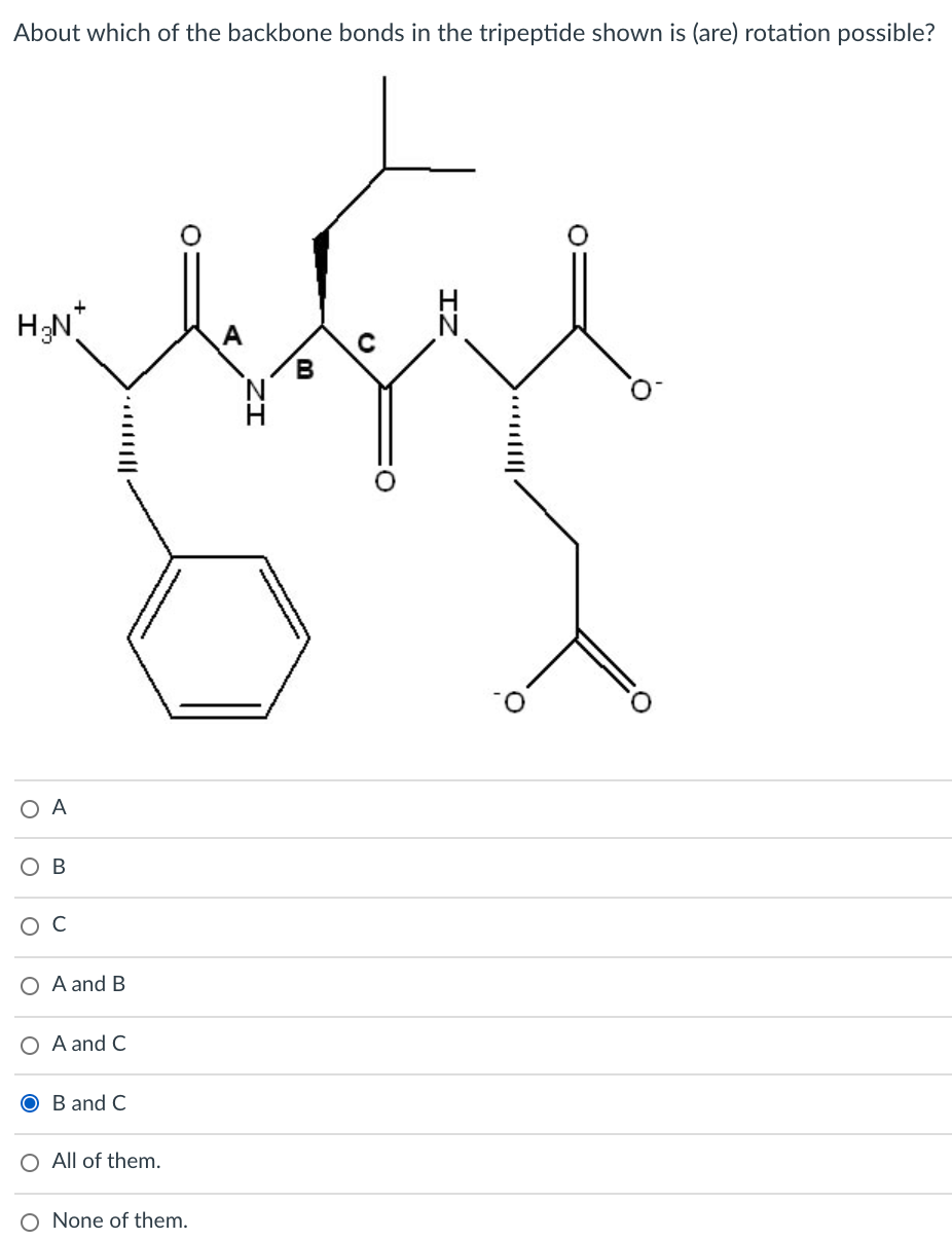 Solved About which of the backbone bonds in the tripeptide | Chegg.com