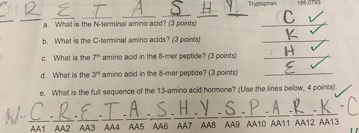 can someone pls clearly explain why is AA8 is "Y"? | Chegg.com