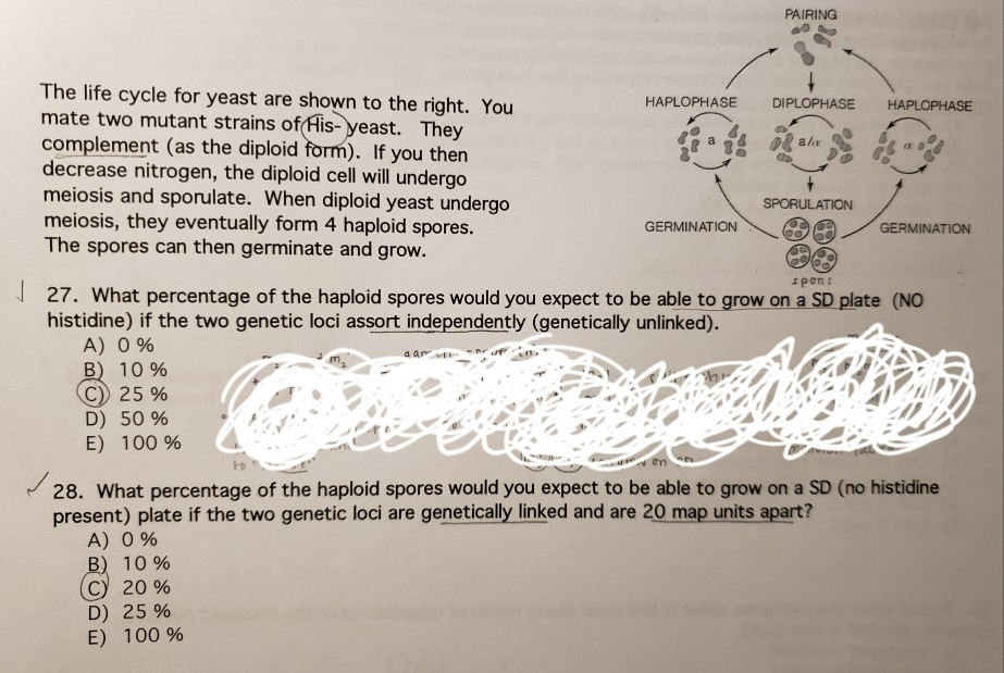 Solved Correct answers are circled. Please explain and show | Chegg.com