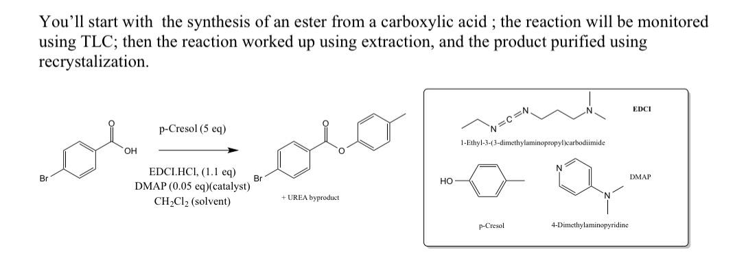 Solved Using the procedure, reaction, and its table | Chegg.com