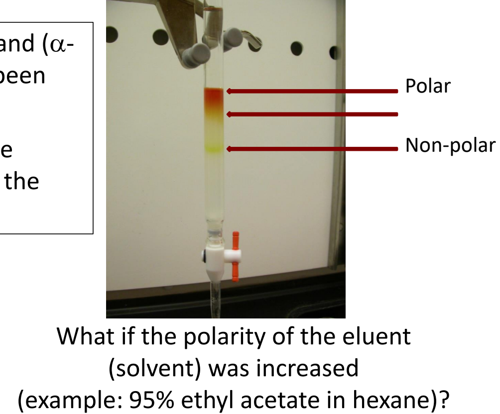 Solved What if the polarity of the eluent(solvent) was | Chegg.com