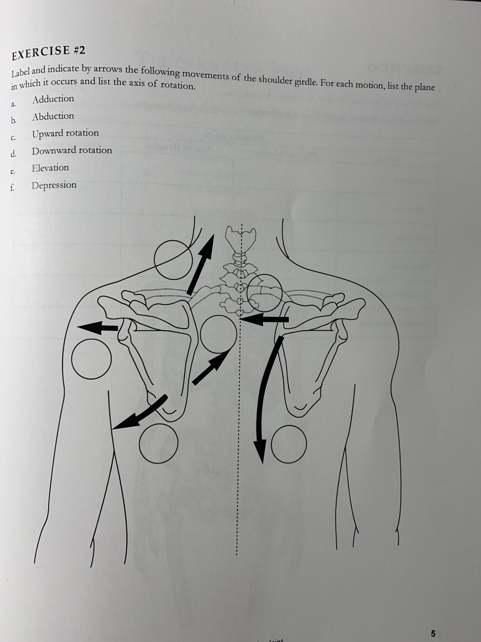 Solved Label and indicate by arrows the following movements | Chegg.com