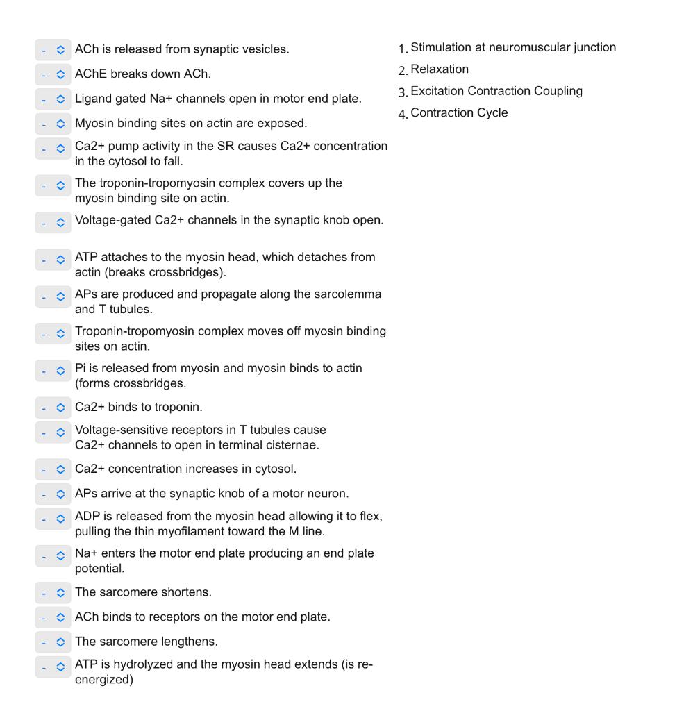 Solved Match each of the events on this list to one of the | Chegg.com