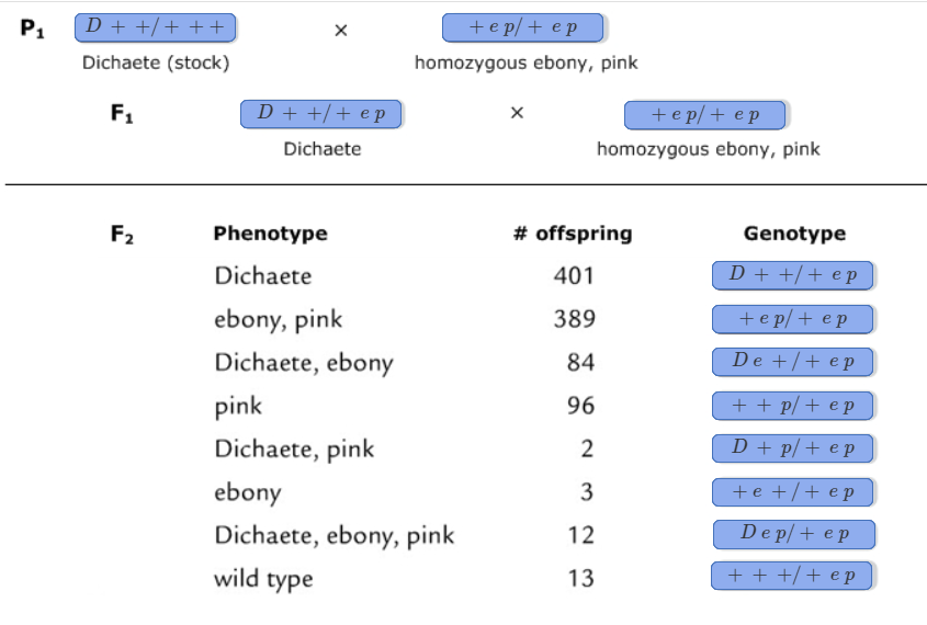 solved-what-is-the-map-distance-between-d-and-p-enter-your-chegg