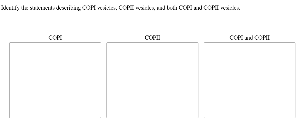 Solved Identify the statements describing COPI vesicles, | Chegg.com