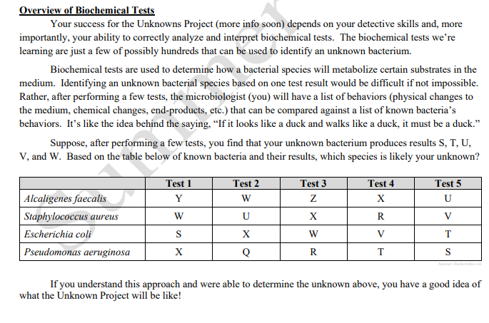 Solved Overview of Biochemical Tests Your success for the | Chegg.com