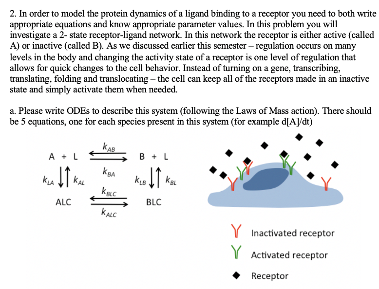 Solved 2. In order to model the protein dynamics of a ligand | Chegg.com