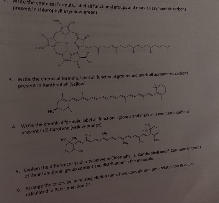 Solved . Write the chemical formula, label all functional | Chegg.com
